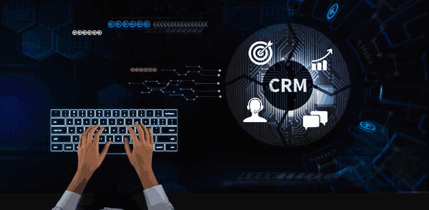 Custom CRM/ CMS Systems - Pauseitive tech